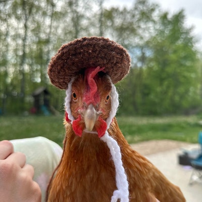 Crochet Pattern Cowboy Hat Chicken Hat Crochet Pattern Hat for Chicken ...