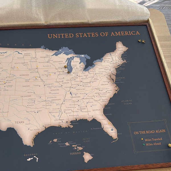 Push Pin World Map, Travel Framed Personalized Map - Etsy