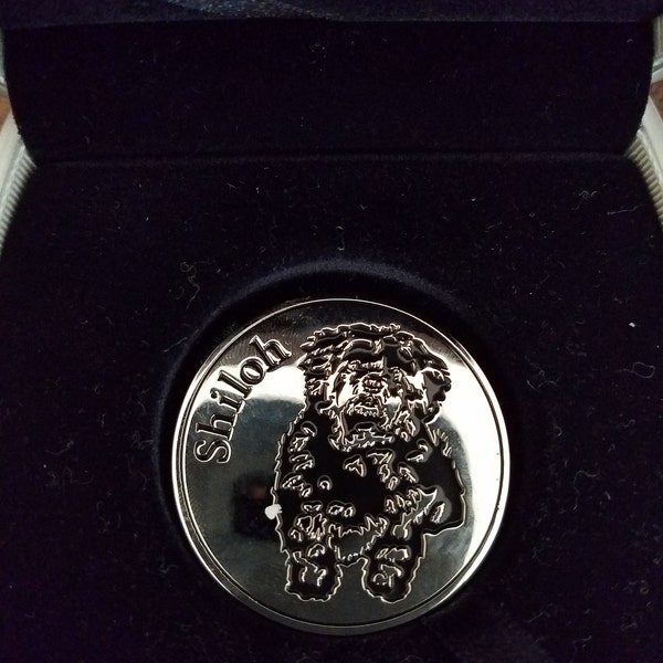 Personalized Coin, Custom Coin, 925 Sterling Silver, Logo Gift, Gift ...