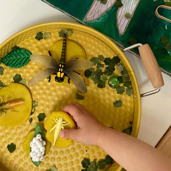 Sensory Tools Set With Sensory Base. Sensory Play. Messy Play. Tuff ...