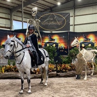 Destrier Horse Costume Medieval Barding Costume Equine Jousting ...