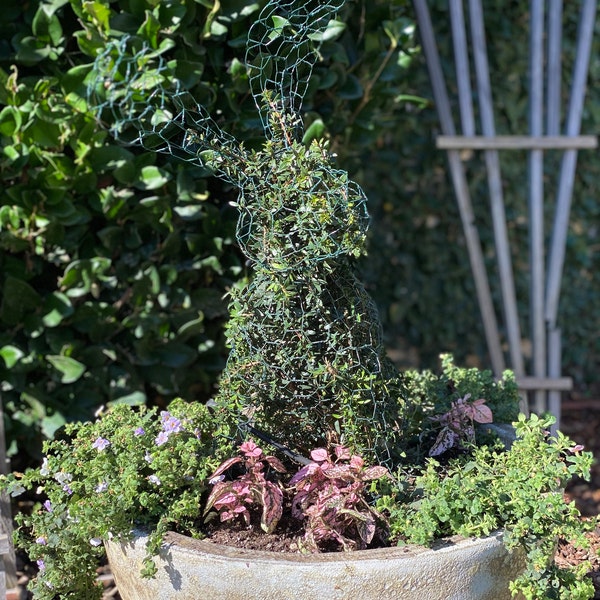 Teddy Bear Topiary Frame - Etsy