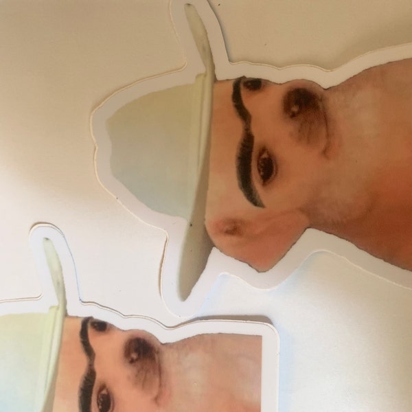 Pelavacas Logo Chalino Sanchez Corridos Sticker 14x2" - Etsy