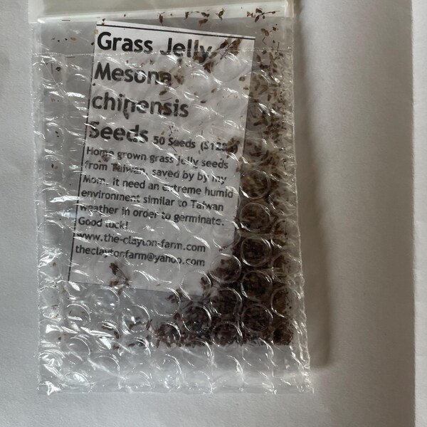 Grass Jelly Mesona Chinensis Seeds - 50 Seeds (taiwan Variety) - Etsy