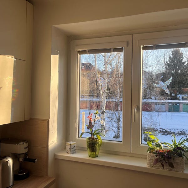 Tooth Suncatcher Sticker Window Decal | Teeth Artwork Wall Art Ornament ...