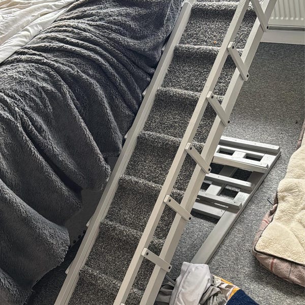 Pet Ramp With Foldable Rails | 4 Height Levels | Adjustable | Steps - Etsy