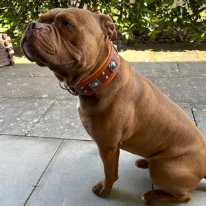 Bestia Aztec BLACK SET Collar & Lead. Big Dogs Mastiffs - Etsy