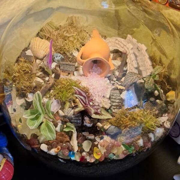 Large Glass Terrarium Jar With LED Cork Lid H25cm X D23cm - Etsy UK