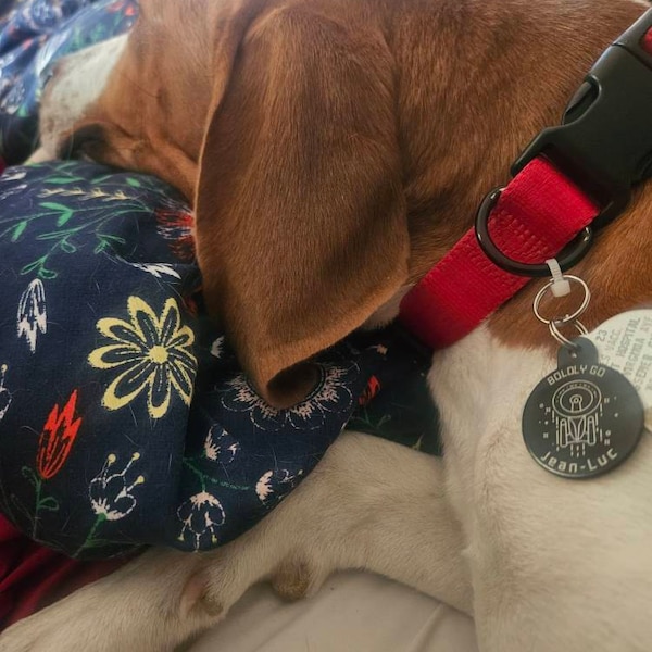 Personalized LED Light up Name Keychain USA Made Color Changing ...