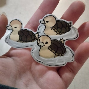 Turtle Duck Rainbow Acrylic Keychain 2.5 - Etsy