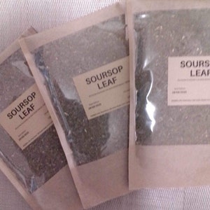 Greek Mountain Tea Ironwort Shepherd's Tea Sideritis Scardica Gojnik - Etsy