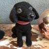 Labrador Retriever Crochet Pattern, Chocolate Crochet Labrador Pattern ...