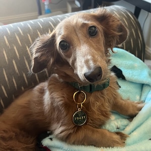Olive Green Resin Pet ID Tag Resin, Olive Green, Dog Tag - Etsy