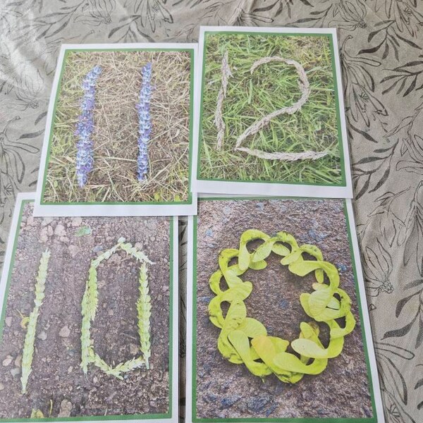 Nature Shape Photo Cards Printable Digital Download Natural Early Years ...
