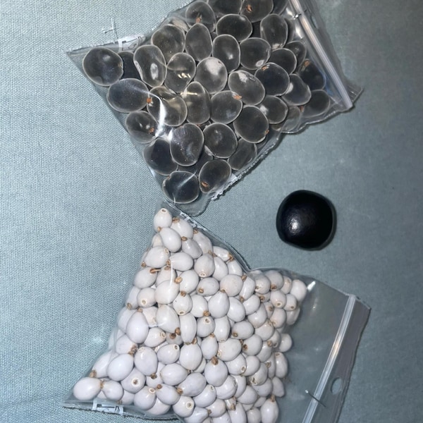 25 Grams of Red Seeds (adenanthera Pavonina) or Approximately 96 Seeds ...