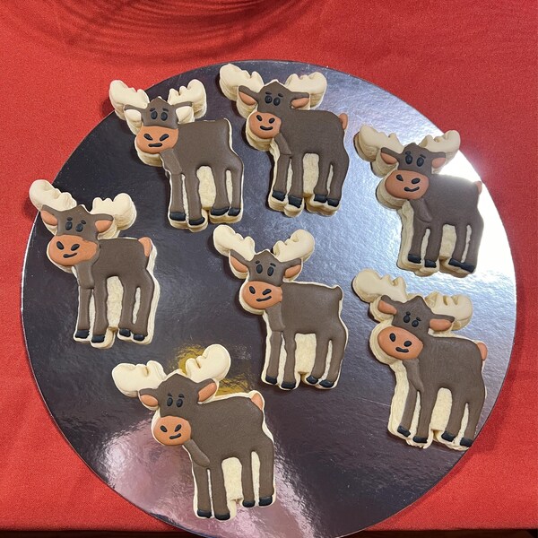 Seashell Sea Shell Bra Mermaid Cookie Cutter - Etsy