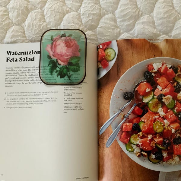 Sew-on Patch Red Gothic Cathedral Church Victorian Window Flying Bats ...