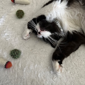 King of the Hill Svg Bundle 9 Image Svg Bundle Bobby Hill - Etsy