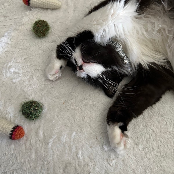 Catnip "nug" Cat Toys - Etsy