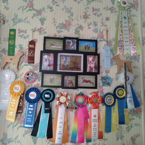 Dog Show Ribbon Display Wood Wall Hanging Any Breed - Etsy
