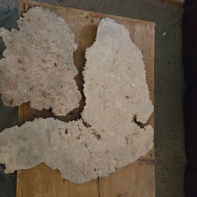 Maple Burl Slices..bookmatch Set 2-9x8x1/2 - Etsy