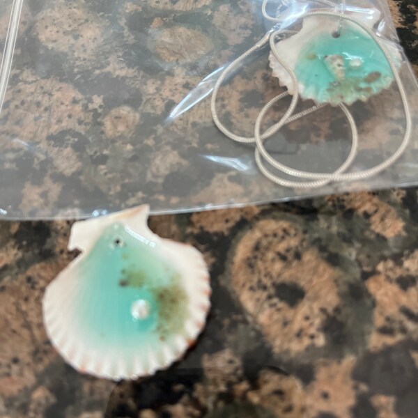 Small Drilled Craft Seashells, Set of 24 Orange, Brown and White Cup ...