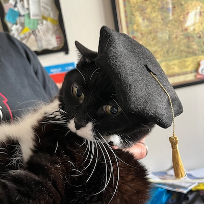 Marine Captain Mini Hat Cat Captain Hat Original Design Pet Costume Pet ...