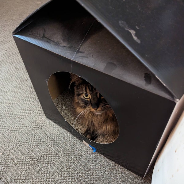 1pc Wholesale Lobster Clasp Gold, Slender Lobster Claw for Jewelry ...