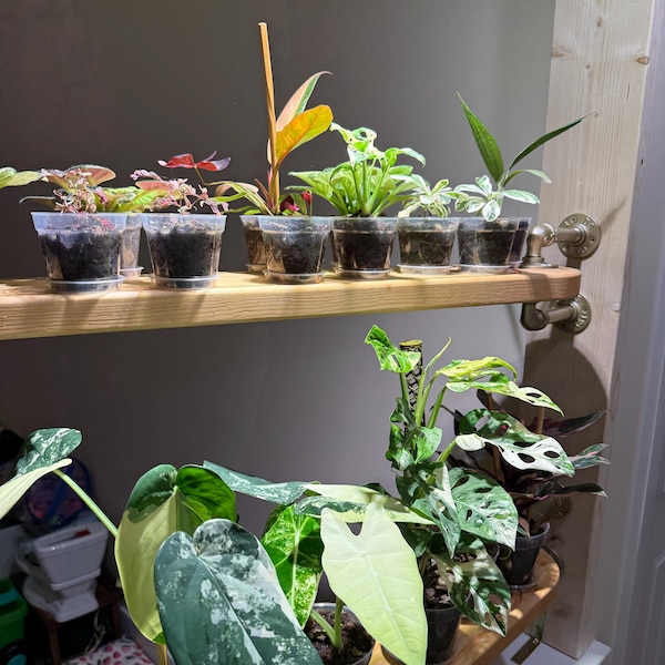 Swivel Shelf With Drip Groove for Window or Wall, Industrial Pipe Shelf ...