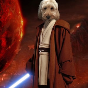 Custom Dog/cat/human Anakin Digital File Portrait . Custom - Etsy