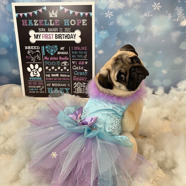 Pet 1st Birthday Chalkboard, Dog Birthday Chalkboard Sign, Dog Party ...