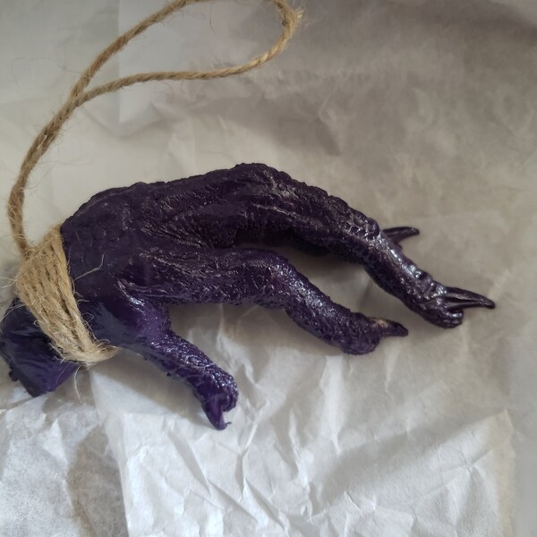 Hoodoo Protection Chicken Foot Talisman Buy One Get One Free. Choose ...