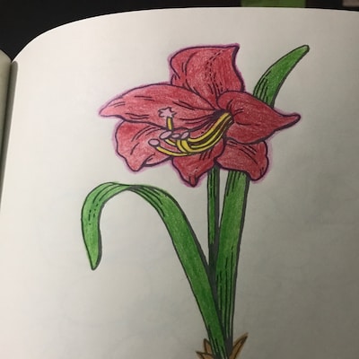 Flowers Coloring Book Vol 2over 30 Illustrations Coloring - Etsy