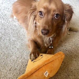 Samosa Plush Chew Toy for Pets - Etsy