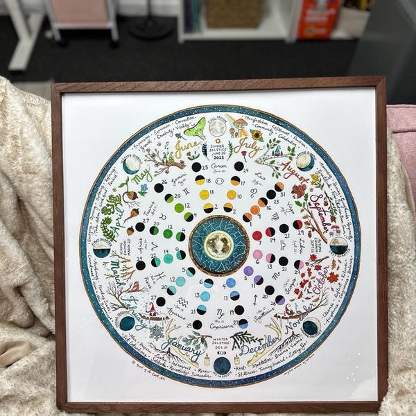 Mushroom Foraging Calendar | an Illustrated Guide to Wild Edible ...