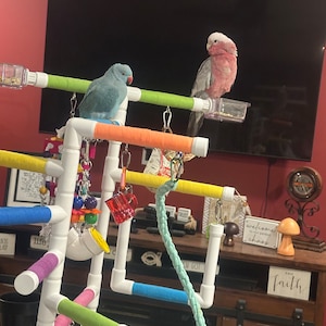 THE MOVER: Portable Parrot Bird Perch W/ Cups for Cockatiels, Conures ...