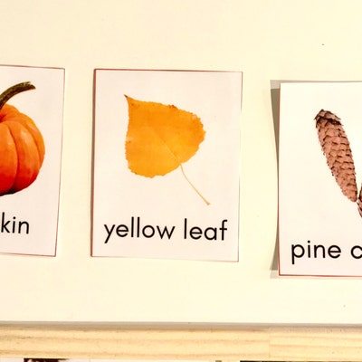 Printable Spring Matching Game Spring Memory Game Real Images ...