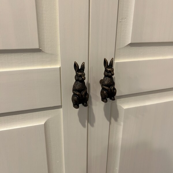 PYREX REAGENT BOTTLE Lab Glass ~ 25ml or 100ml ~ Media Storage Bottles ...