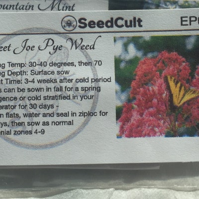 Pro Cut Lemon Sunflower Seeds, Helianthus Annuum HA1120 - Etsy