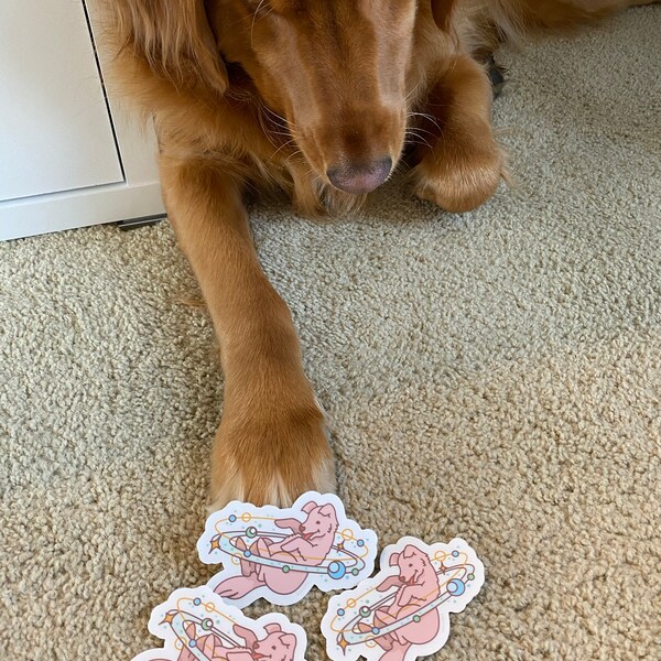 Cosmic Dog Clear Vinyl Sticker - Etsy