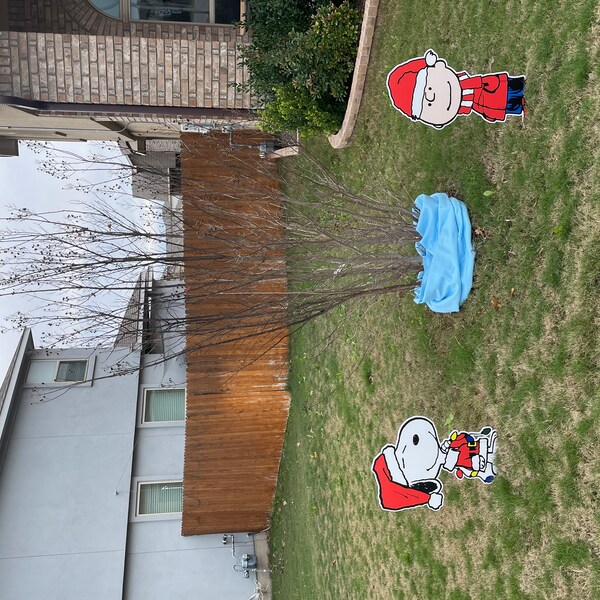 Welcome Great Pumpkin Yard Sign / Linus Brown / Sally Brown / Peanuts ...