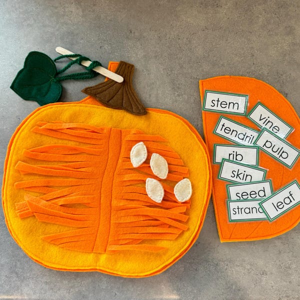 Parts of a Pumpkin Felt Puzzle, Squash Fruit Life Cycle, Montessori ...