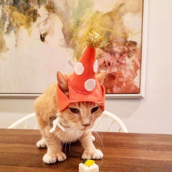 Birthday Party Hat for Cats- ANY COLOR - Etsy