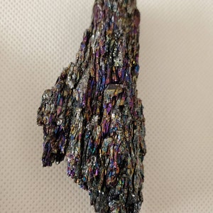 Groundhog Woodchuck Bones Full Skeletons Juvenile Adult Sold - Etsy