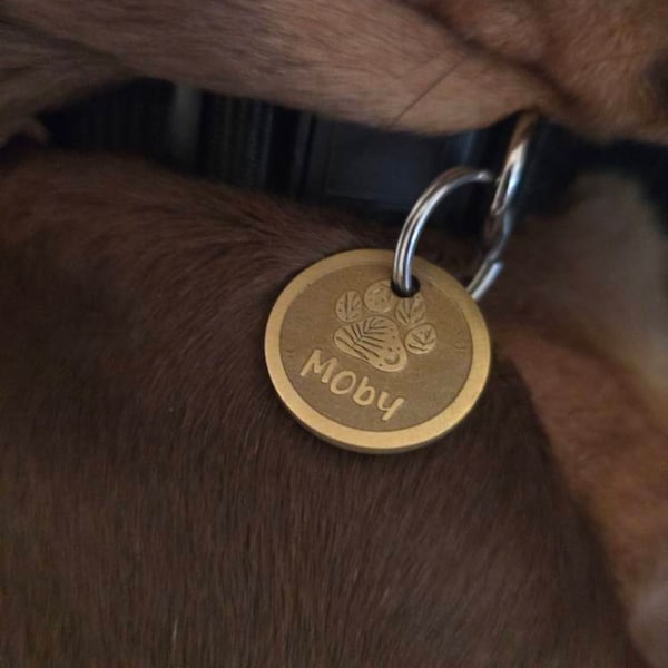 Dog Tag- Lifetime Warranty- Dog ID Tag - Pet Tag - Dog Tags Custom ...