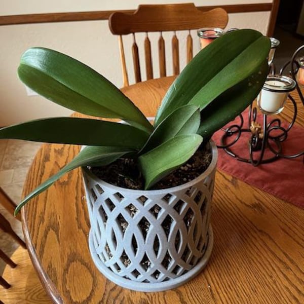 Orchid Pot, Unique Plant Pot With Drainage Holes and Saucer, 3D Printed ...