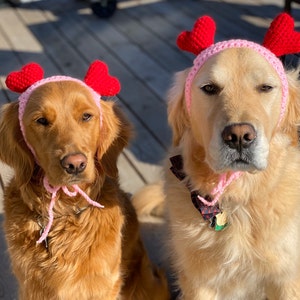 Valentines Day Hearts for Dogs, Heart Headband / Hat for Large Dogs ...