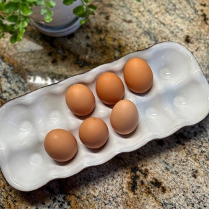 Ceramic Oyster Shells for Grilling Baking Cooking 12 Pack Durable ...