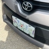 Wildflower License Plate, Cute Floral License Plate, Cute Car Accessory ...