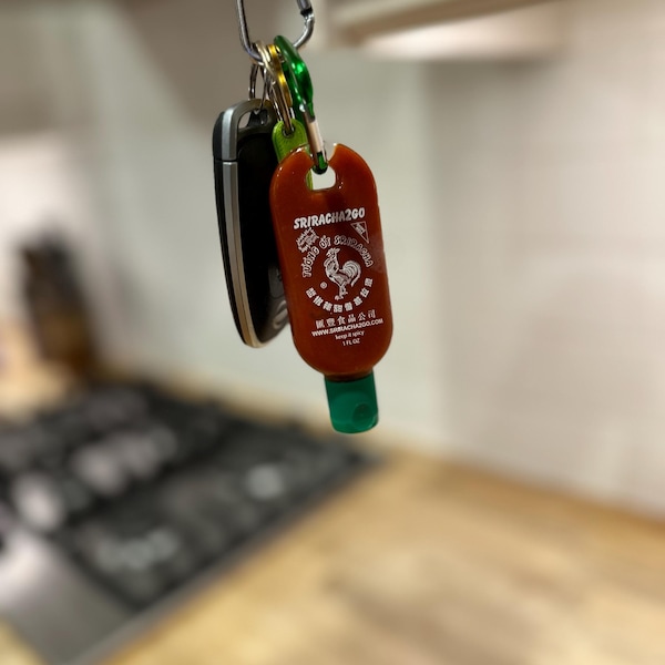 Cat-cus Digital Picture, Cat Cactus Cartoon, Kawaii Clipart, Girls Room ...